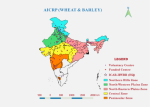 All India Coordinated Research Project on Wheat and Barley (AICRP) – India